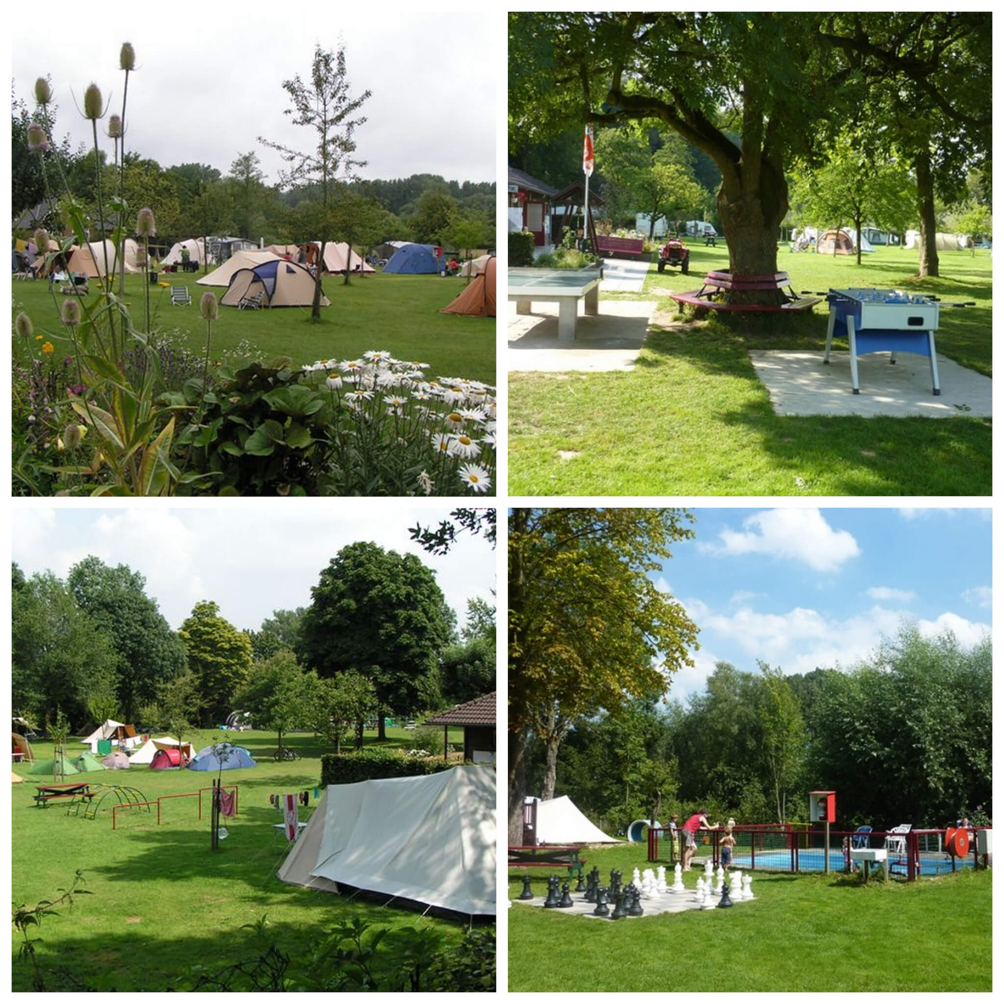 Kamperen met kinderen: idyllische kindvriendelijke campings in Nederland