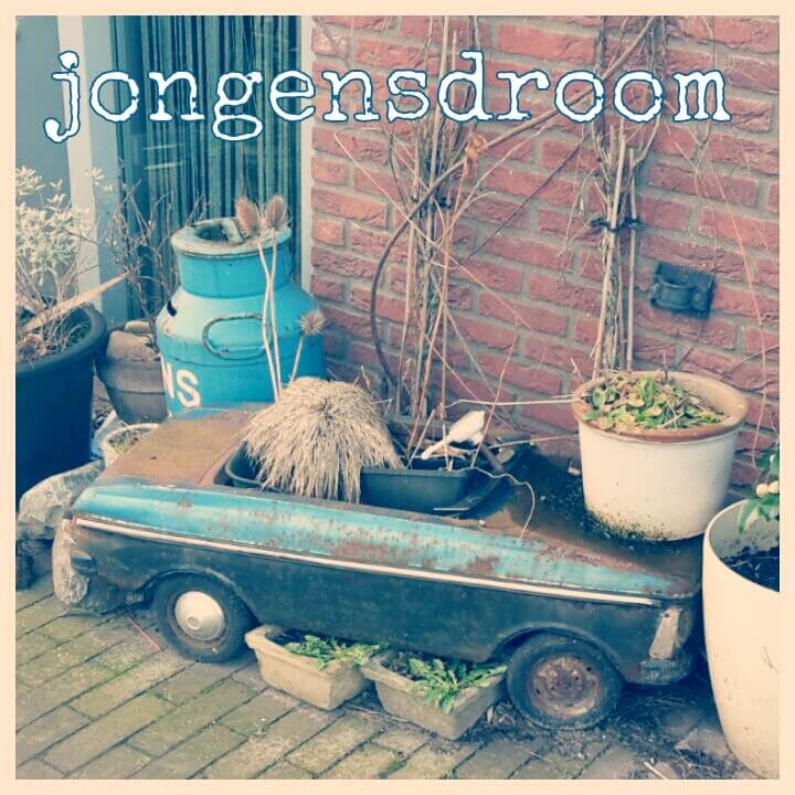 Plantenbakken voor bloementuintjes en moestuintjes: leuke ideeën Leuk ...