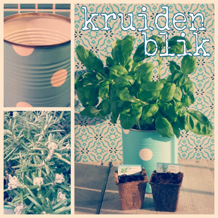 Plantenbakken voor bloementuintjes en moestuintjes: leuke ideeën Leuk ...