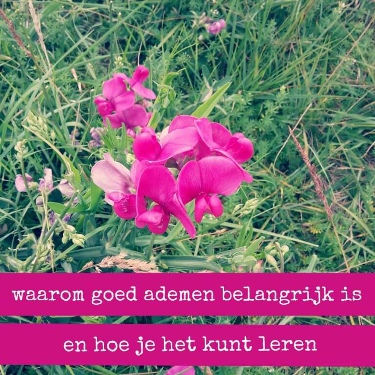 Goed ademen: waarom het zo belangrijk voor je gezondheid is en hoe je ...