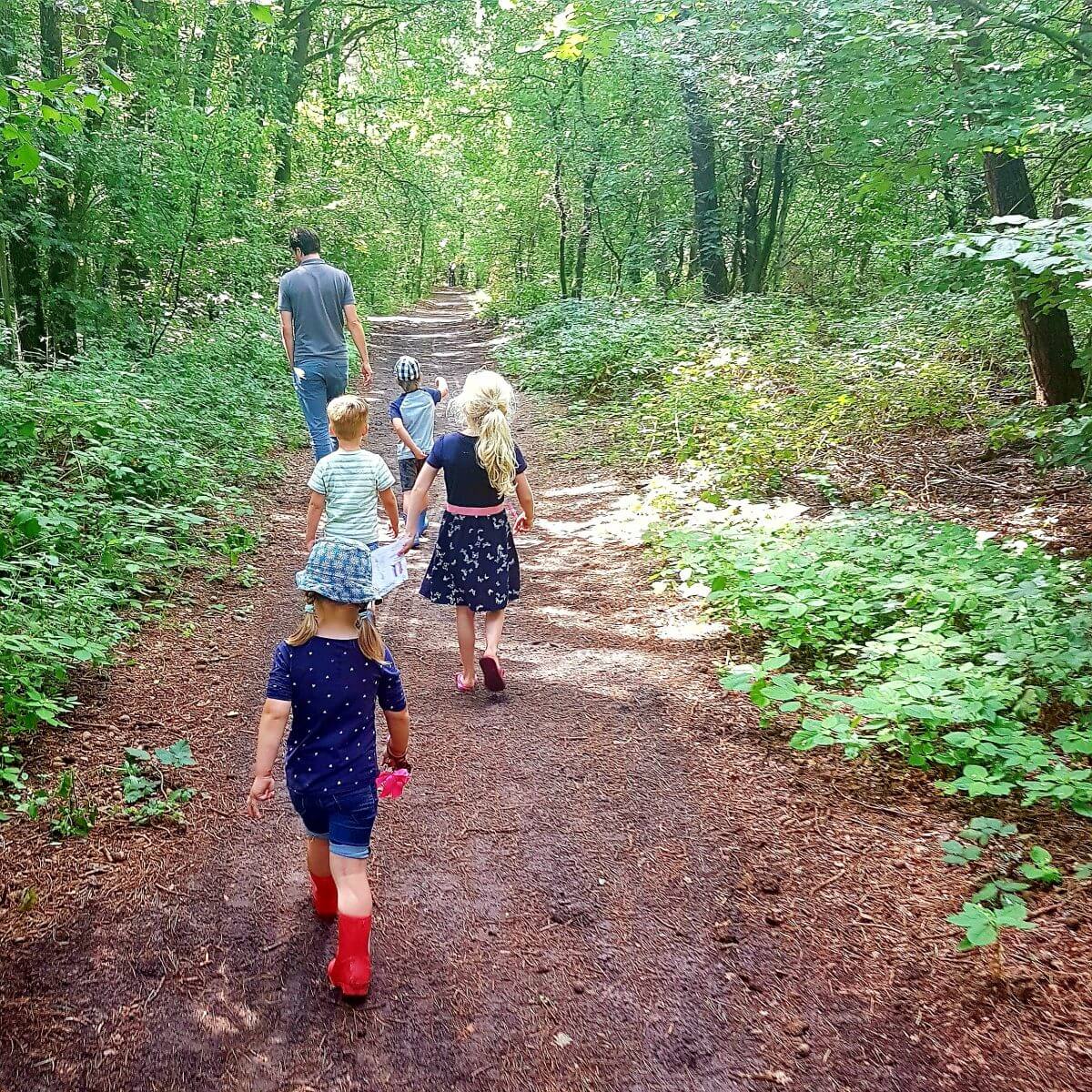 Zondag Bosdag: blog met inspiratie en speurtochten om de natuur te ...