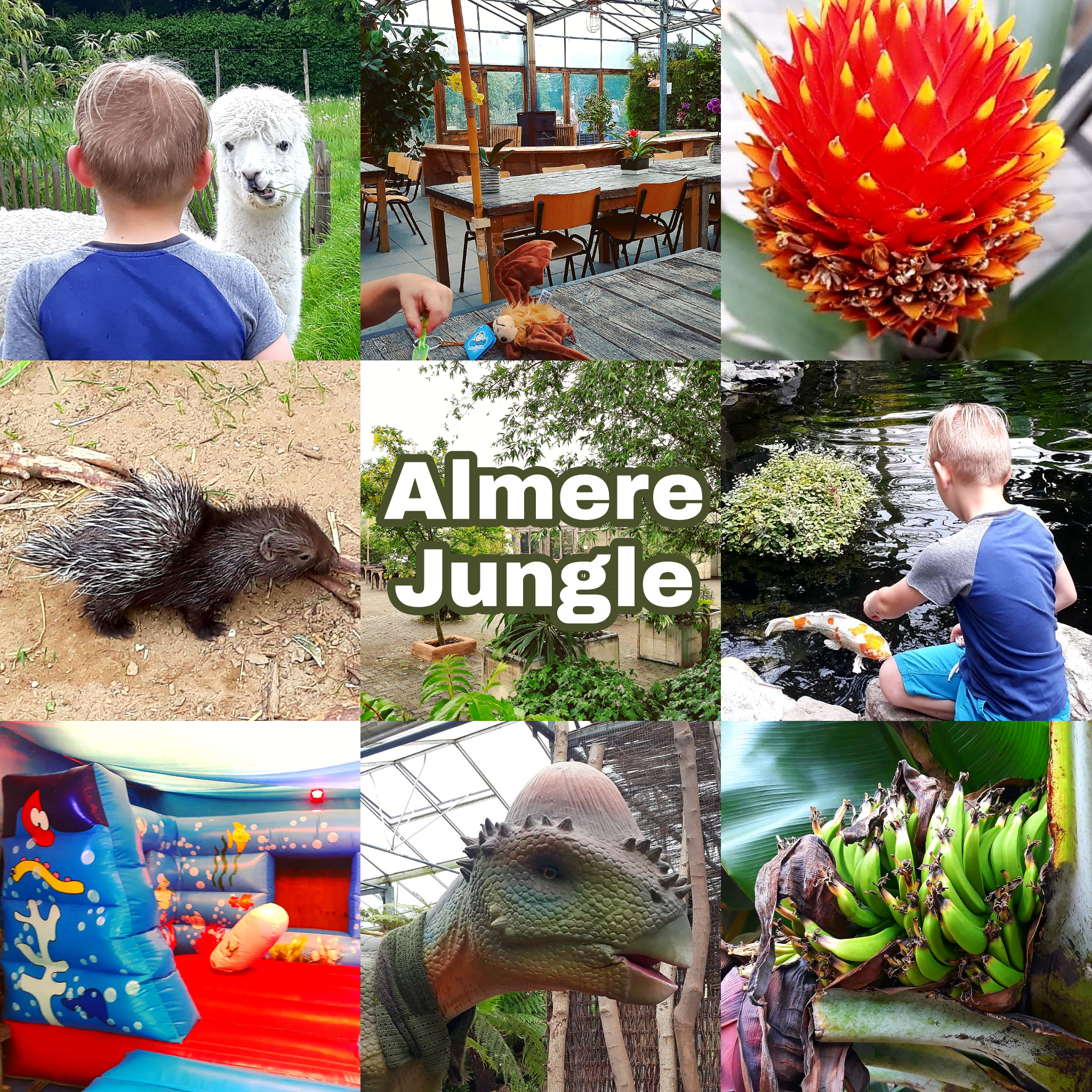 Uitje met kids: dieren kijken op alle werelddelen in Almere Jungle Leuk ...