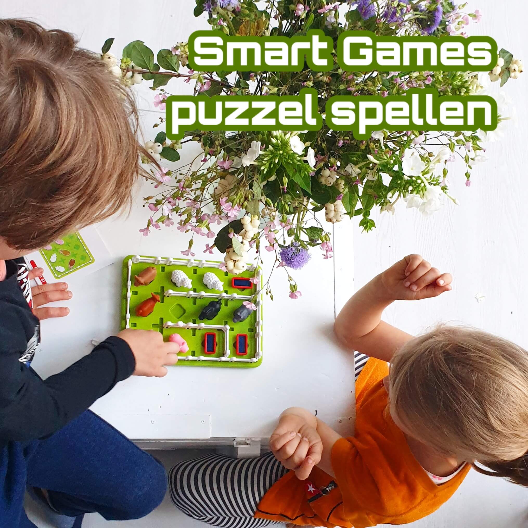 Smart Games: puzzel spellen die je alleen of samen kunt doen Leuk met kids