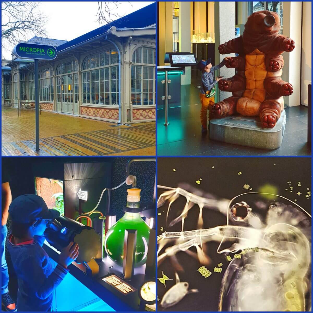 Micropia museum: uitje voor nieuwsgierige kinderen, met Amsterdam tips