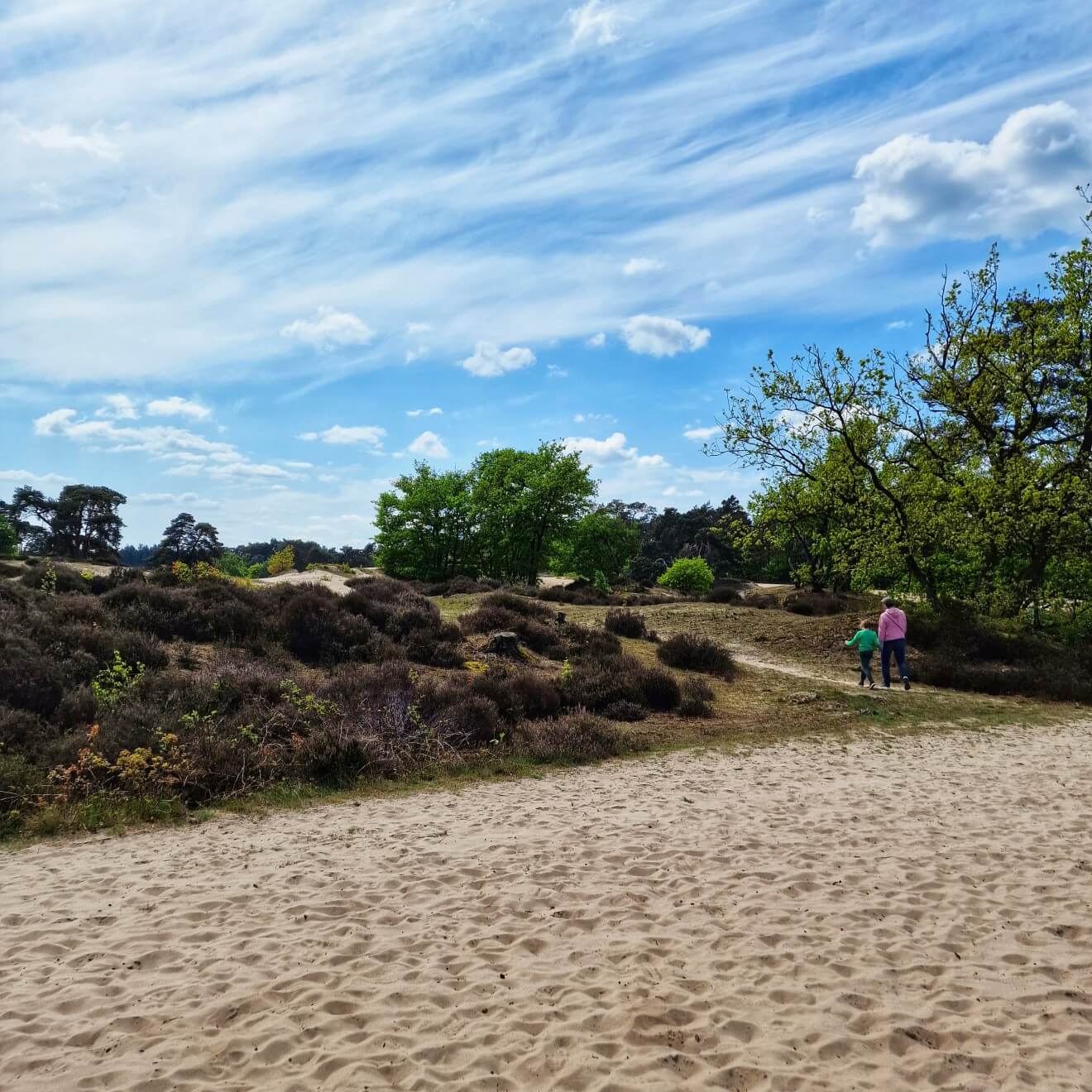 Wandelen in de Soesterduinen en naar restaurant Soesterdal Leuk met kids