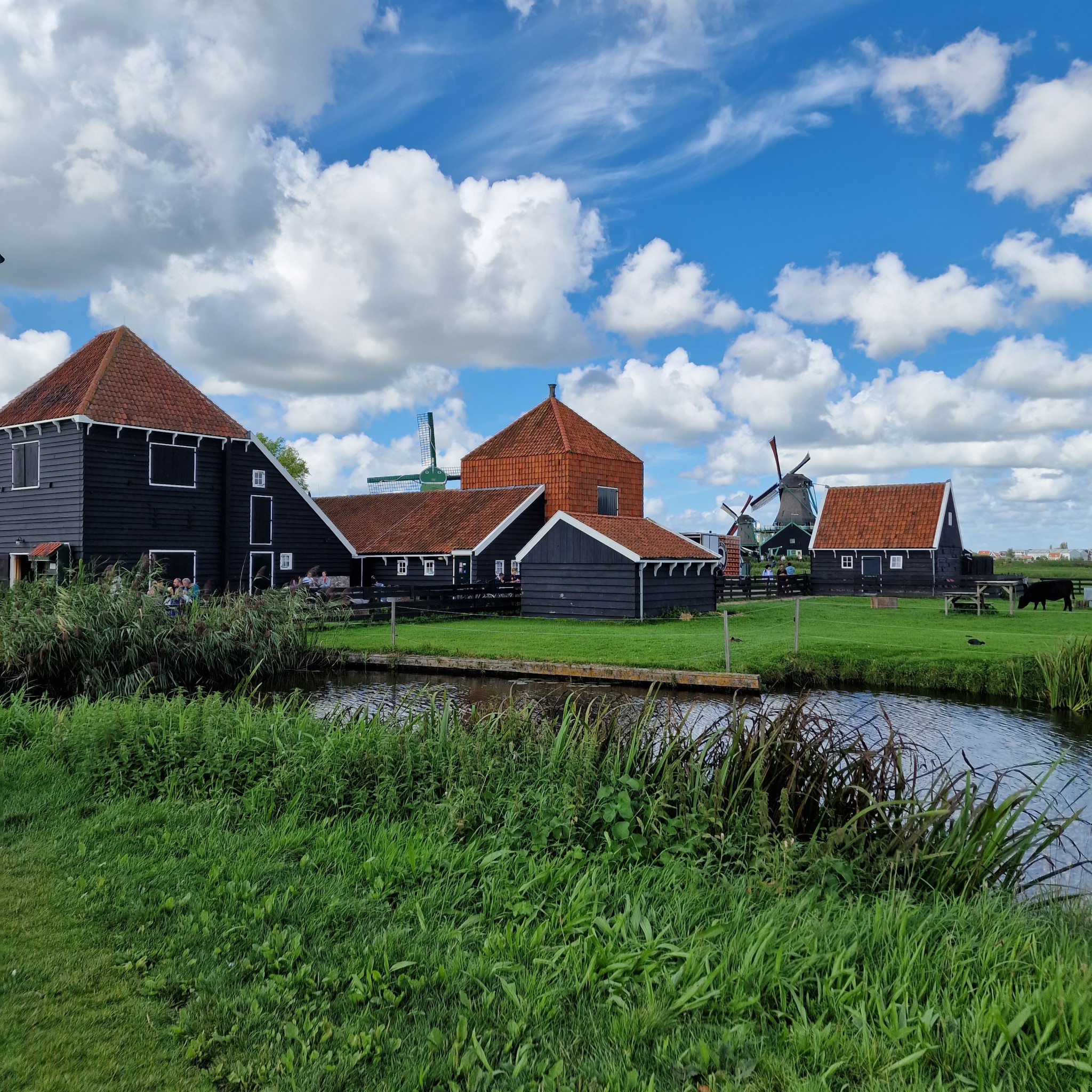 Openluchtmuseum Zaanse Schans & Zaans Museum met kinderen Leuk met kids