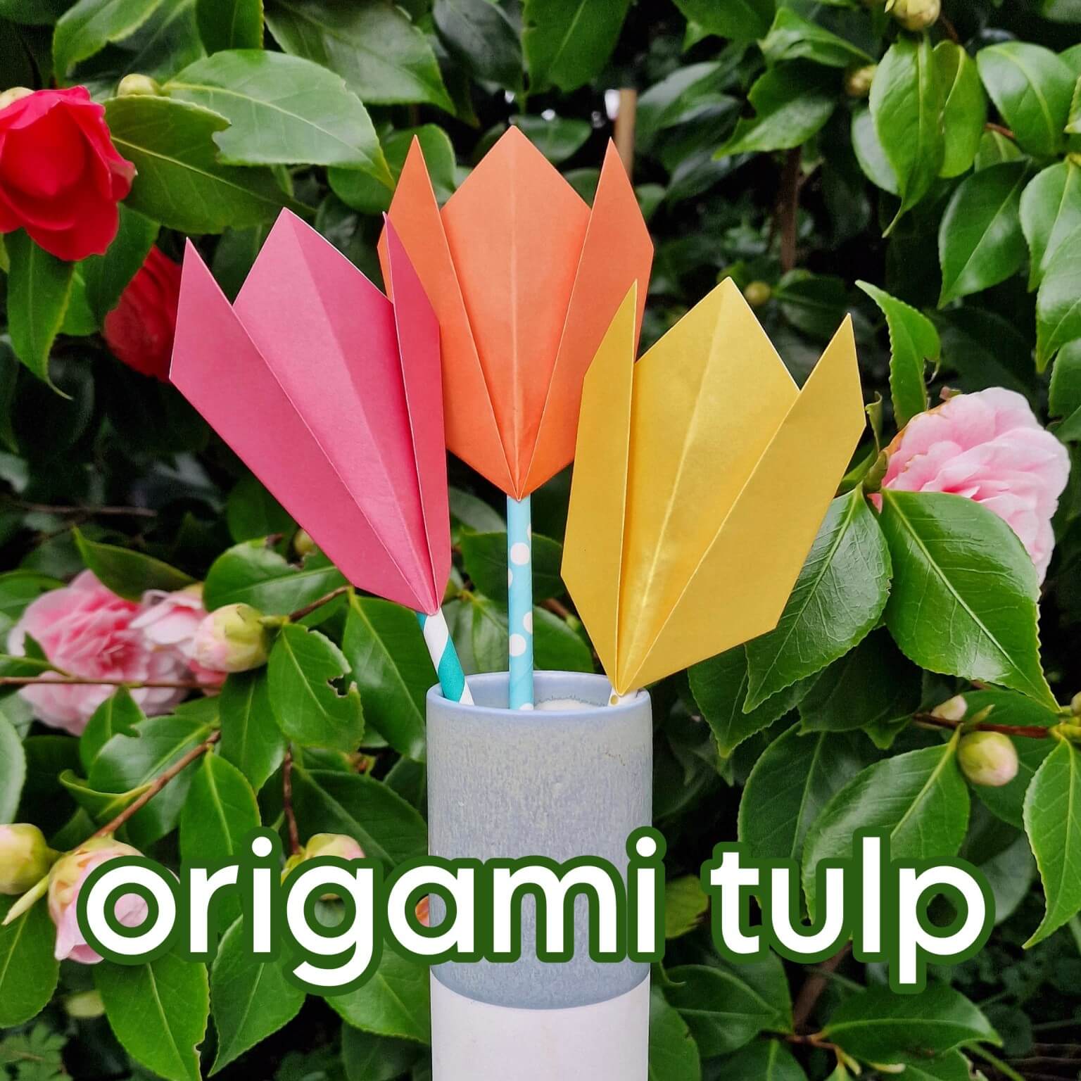 Origami tulp vouwen: uitleg in stappen - Leuk met kids Leuk met kids
