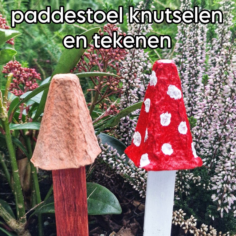 Paddenstoel knutselen en tekenen: leuke ideeën - Leuk met kids Leuk met ...