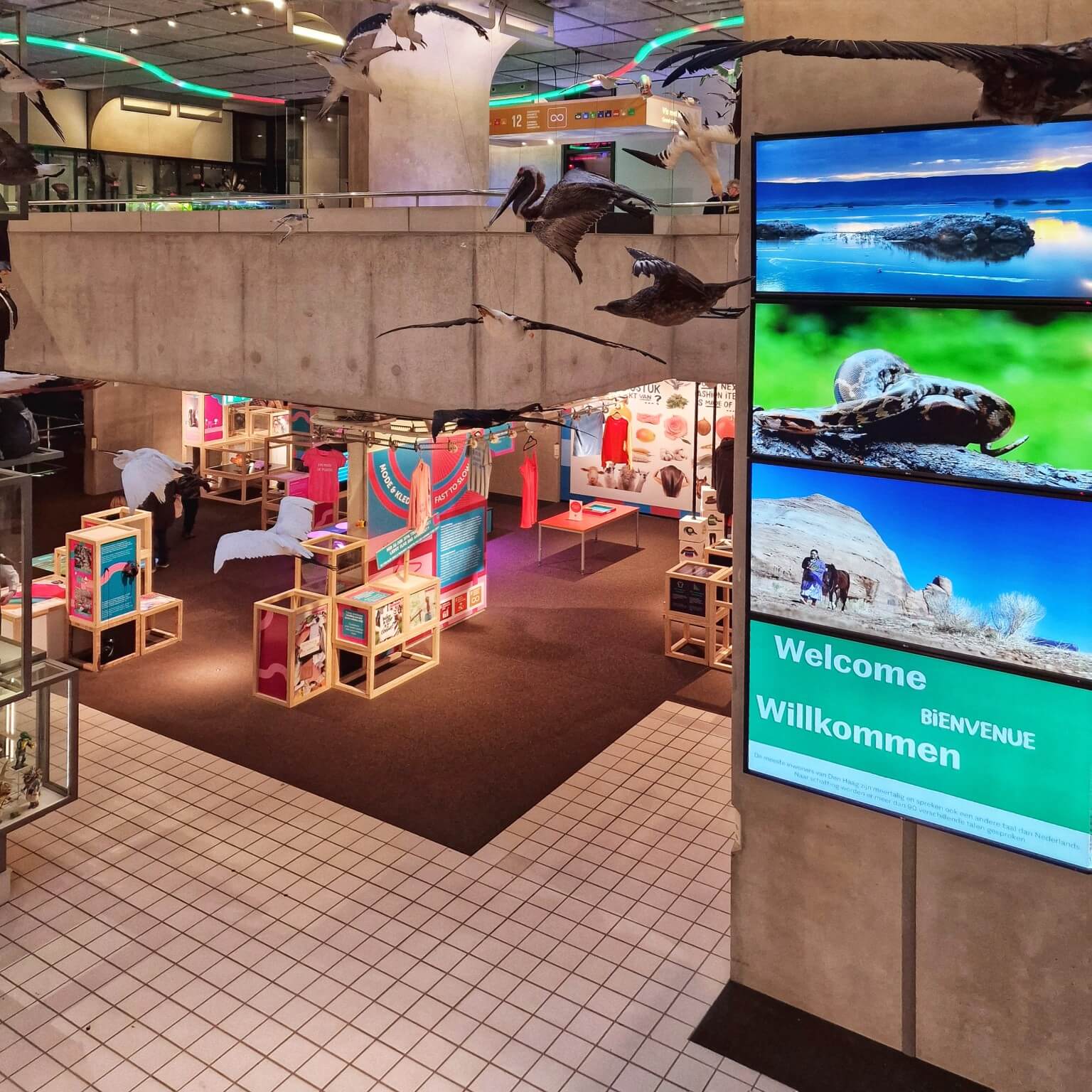 Museon-Omniversum en Kunstmuseum met kinderen in Den Haag - Leuk met ...