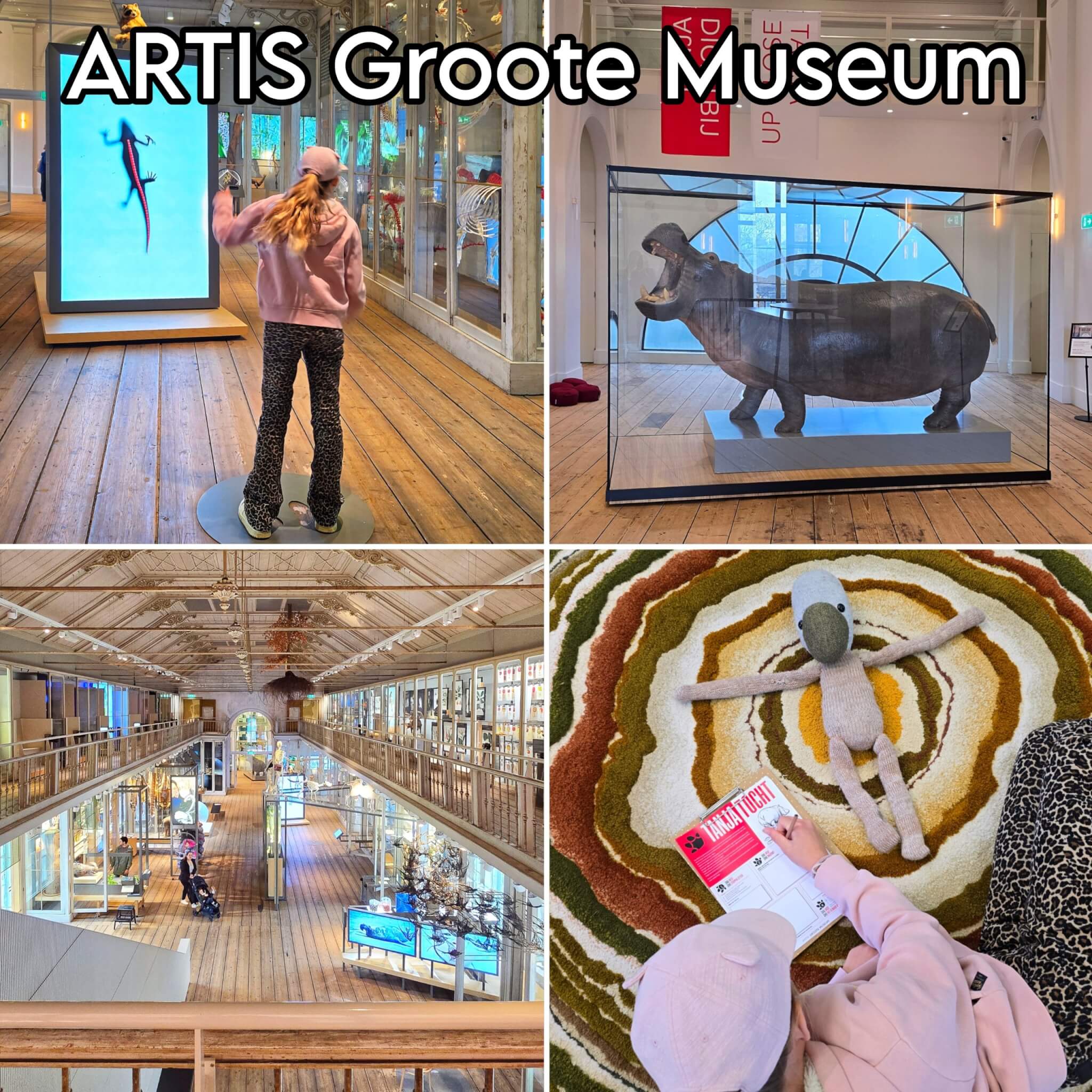 ARTIS Groote Museum met kinderen en tieners - Leuk met kids Leuk met kids